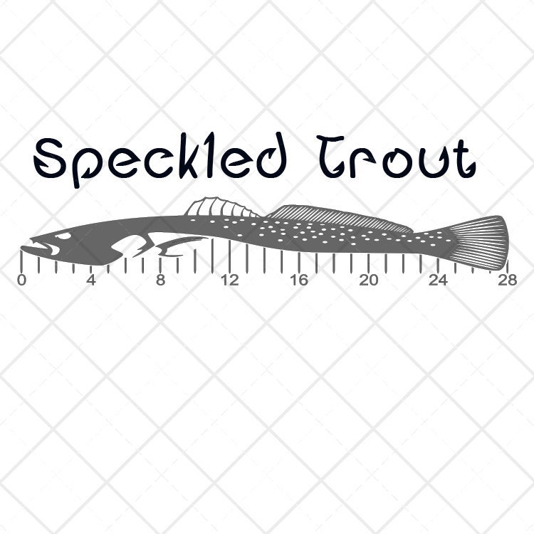 CUSTOM FISH RULERS for Your Boat Ice Chest Etc. Speckled - Etsy