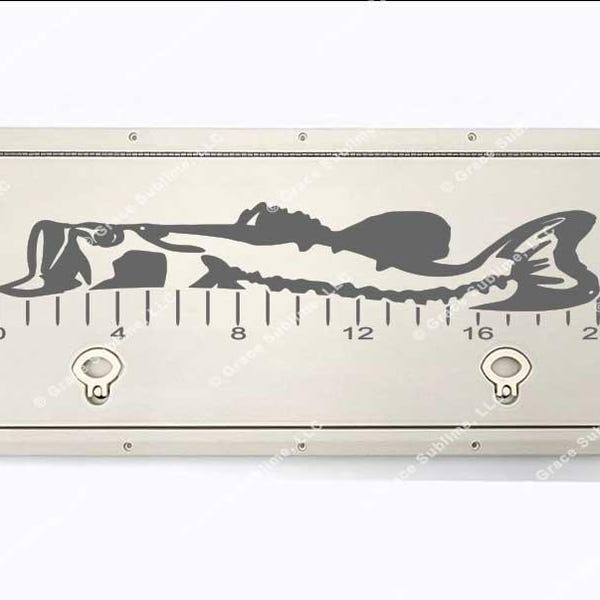 Fish Ruler Svg - Etsy