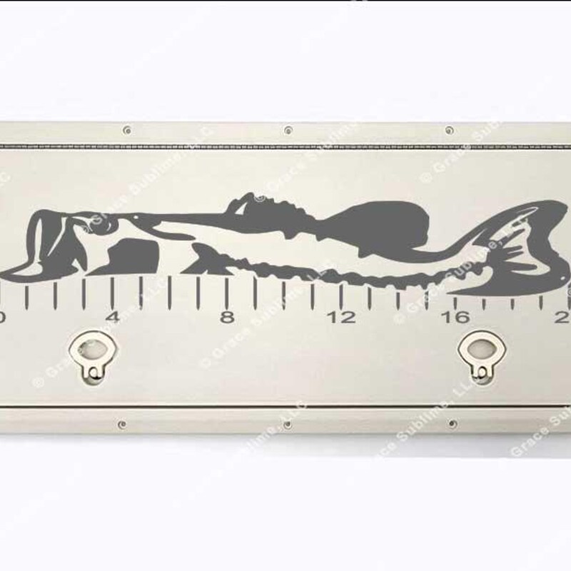 Fish Ruler Svg - Etsy