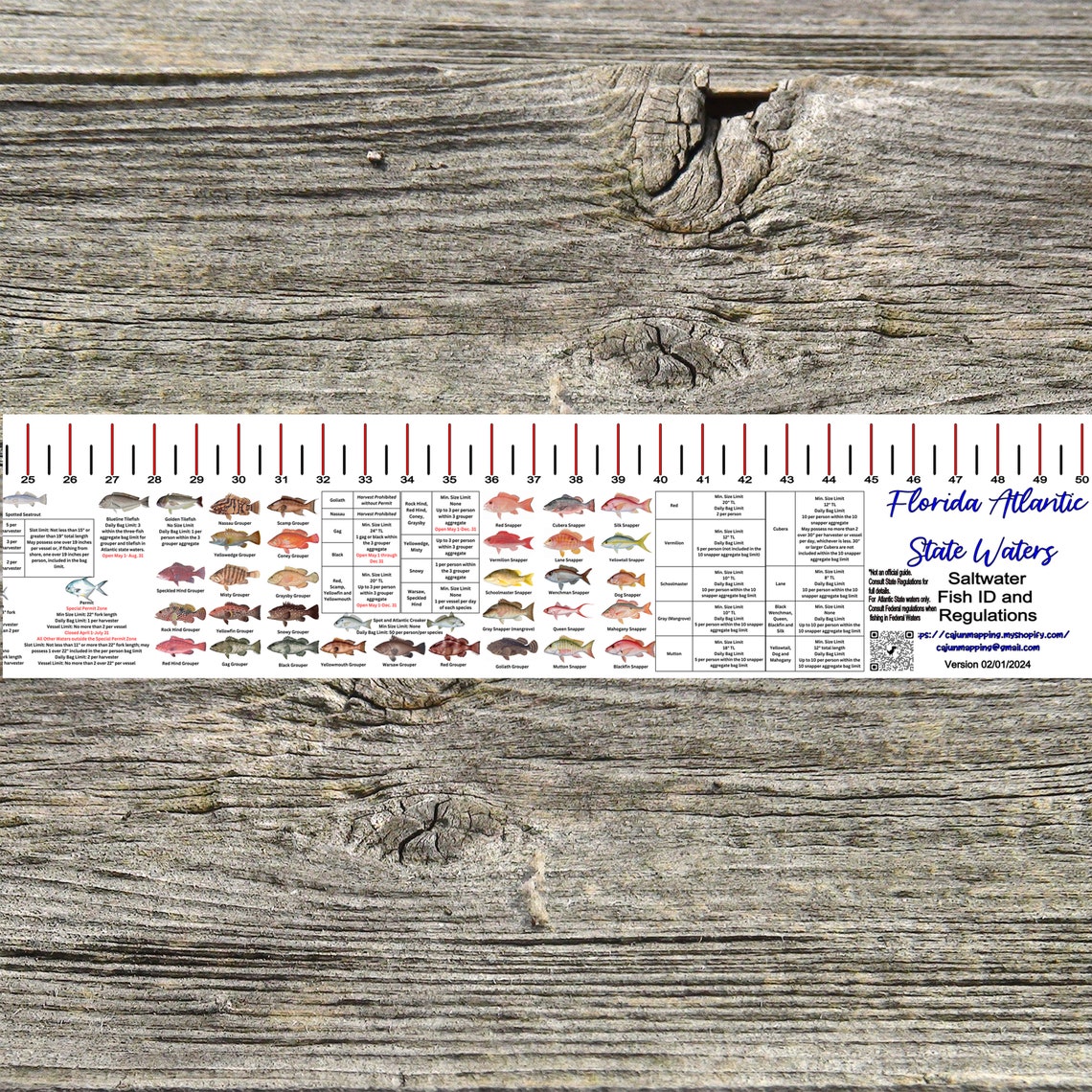 State Specific Saltwater Fish ID and Regulations Ruler Decals Tx La Ms ...