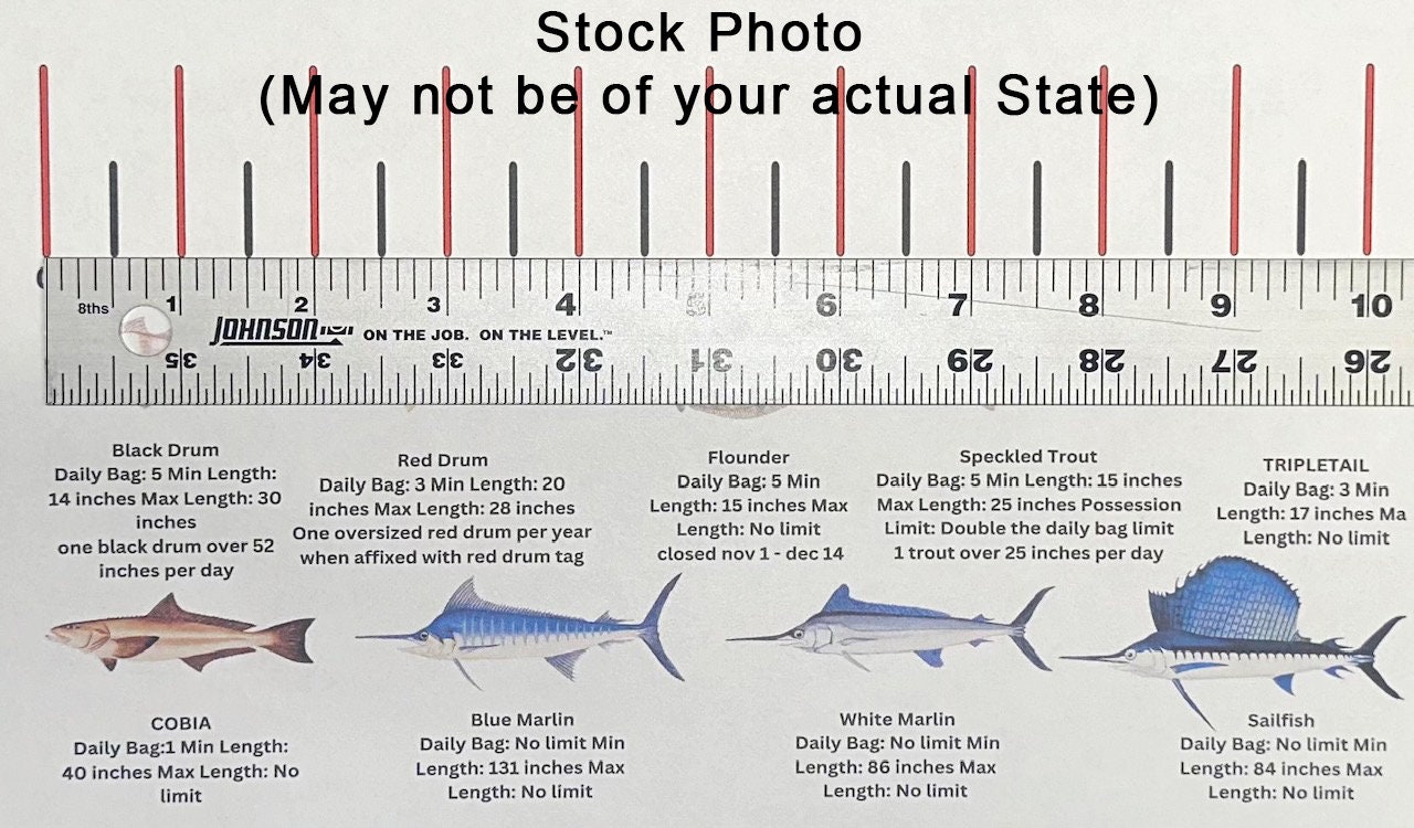 State Specific Saltwater Fish ID and Regulations Ruler Decals Tx La Ms ...