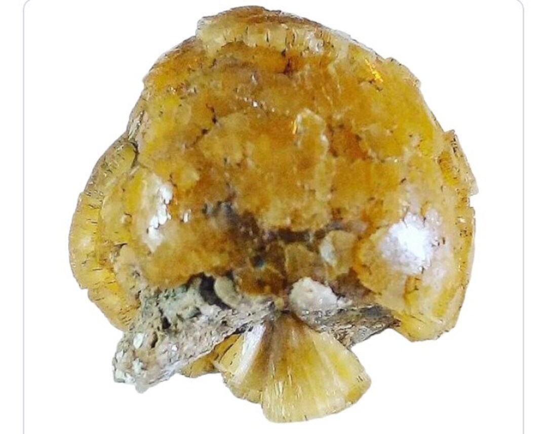 Ultra Rare Yellow Spherical HYDRO STILBITE - Etsy