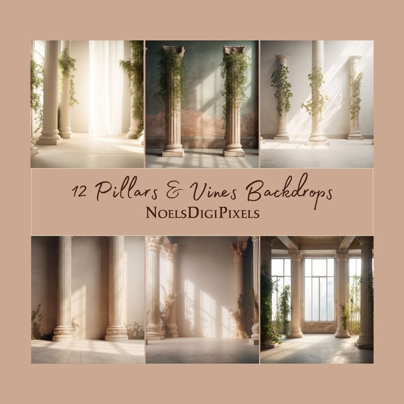 12 Pillars Digital Background White Pillar Overlay Vined Pillars ...