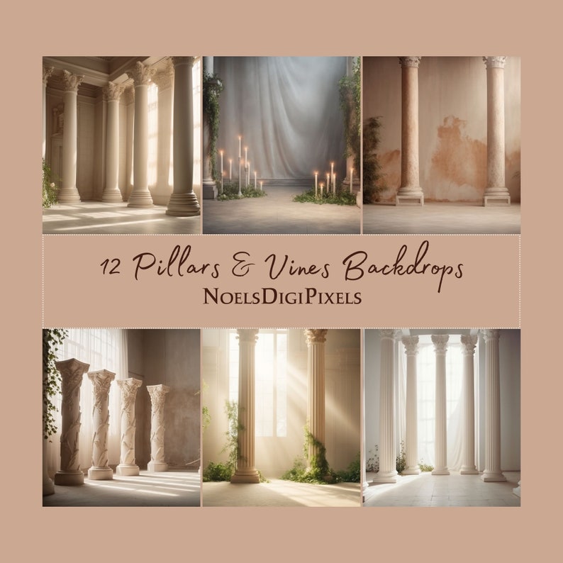 12 Pillars Digital Background White Pillar Overlay Vined Pillars ...