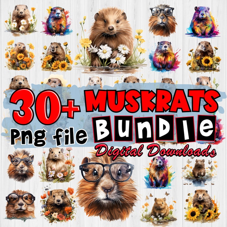 Muskrat Bundle PNG Sublimation File - Instant Digital Downloads - Etsy