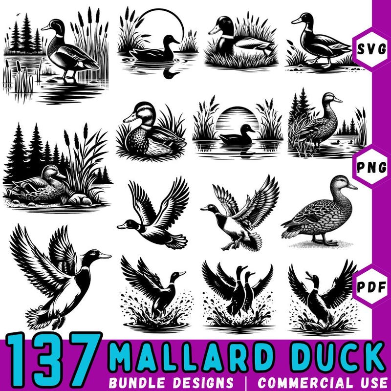 Duck Svg - Etsy