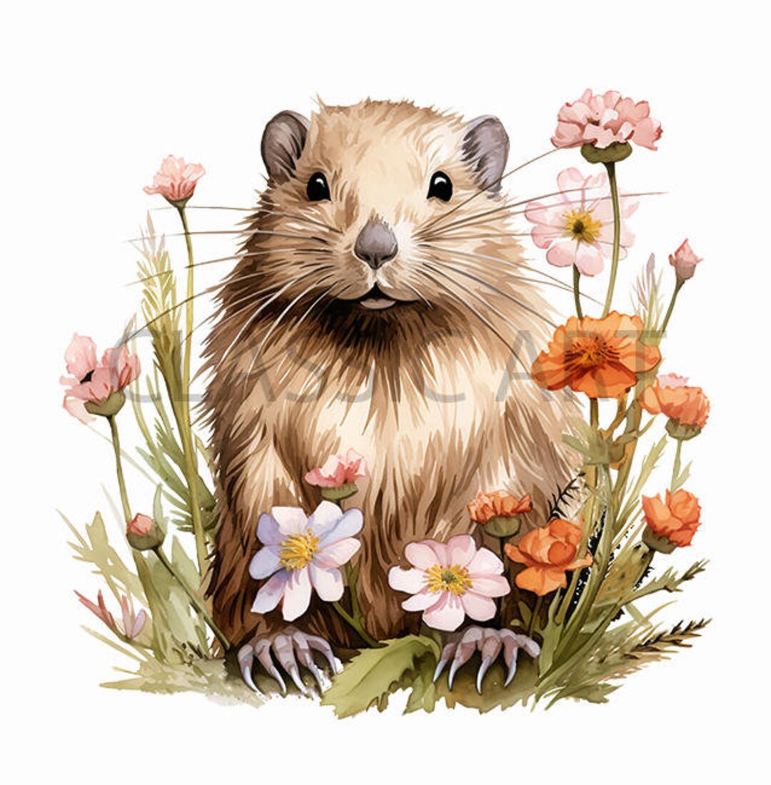 Muskrat PNG Sublimation File - Dazzling Muskrat With Florals - Instant ...