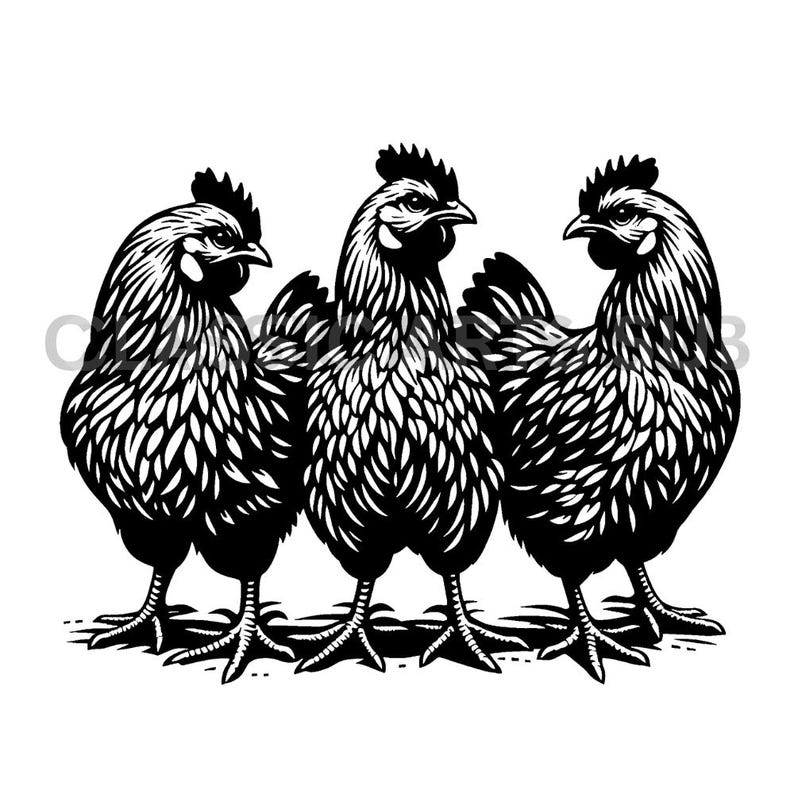 Chicken SVG Bundle: Laser Cut Files for Cricut (digital Download) - Etsy