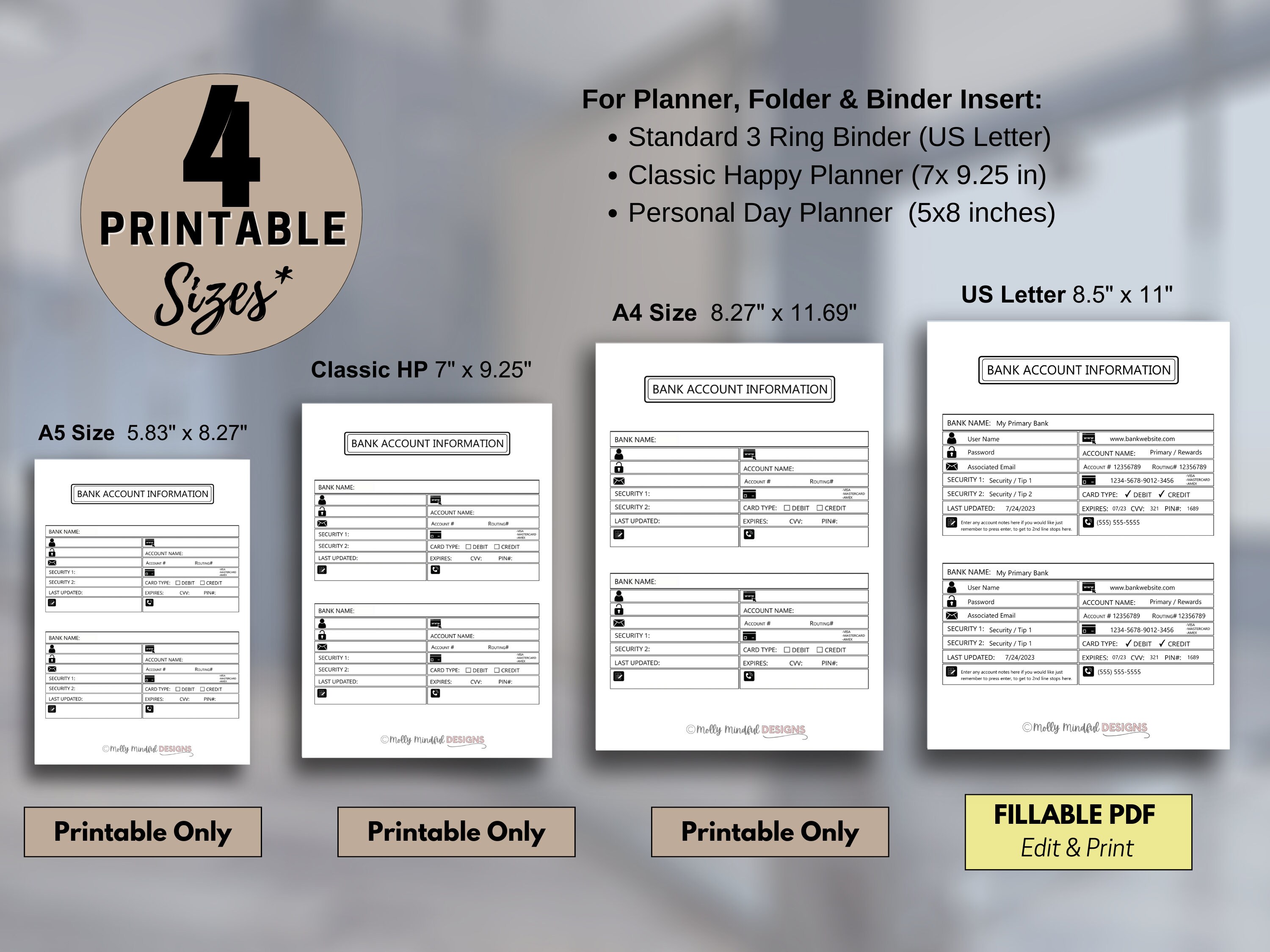 Editable Account Tracker, Bank Account Information Template, Login ...