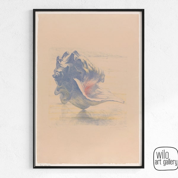 Conch Shell Art - Etsy