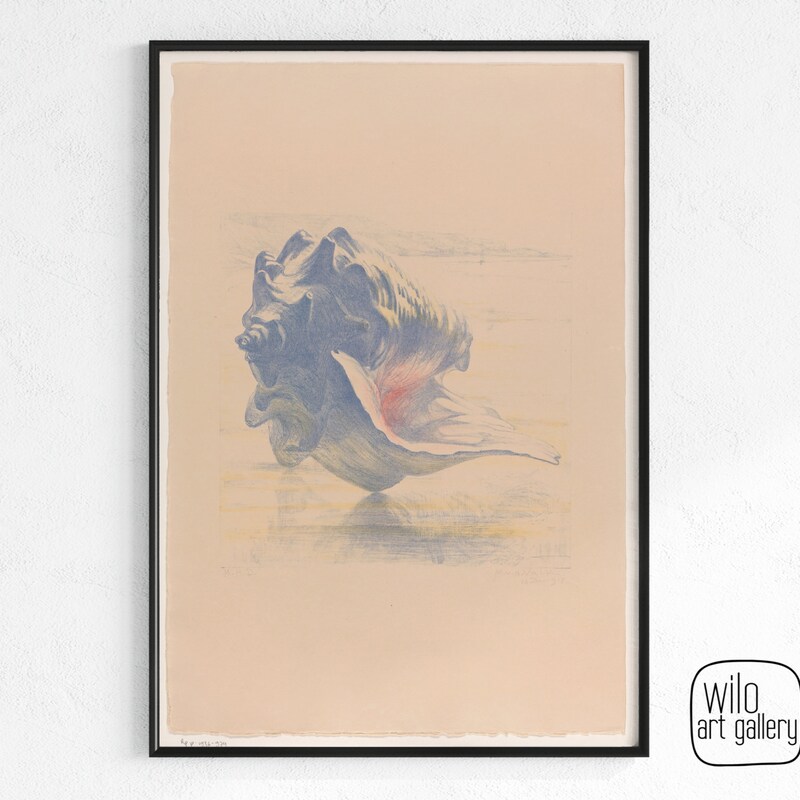 Shell Art Print - Etsy