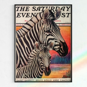 Zebra Magazine Cover | Direct Download, Zebra Art Print, Zebra Sketch ...
