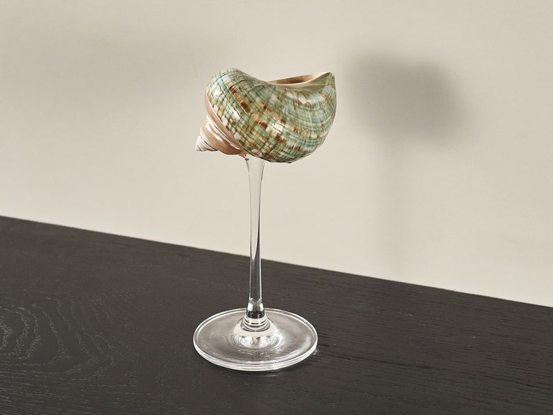 Handmade Natural Conch Shell Wine Glass,beach Wedding Wine Glasses ...