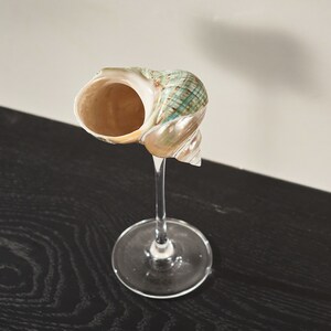 Handmade Natural Conch Shell Wine Glass,beach Wedding Wine Glasses ...