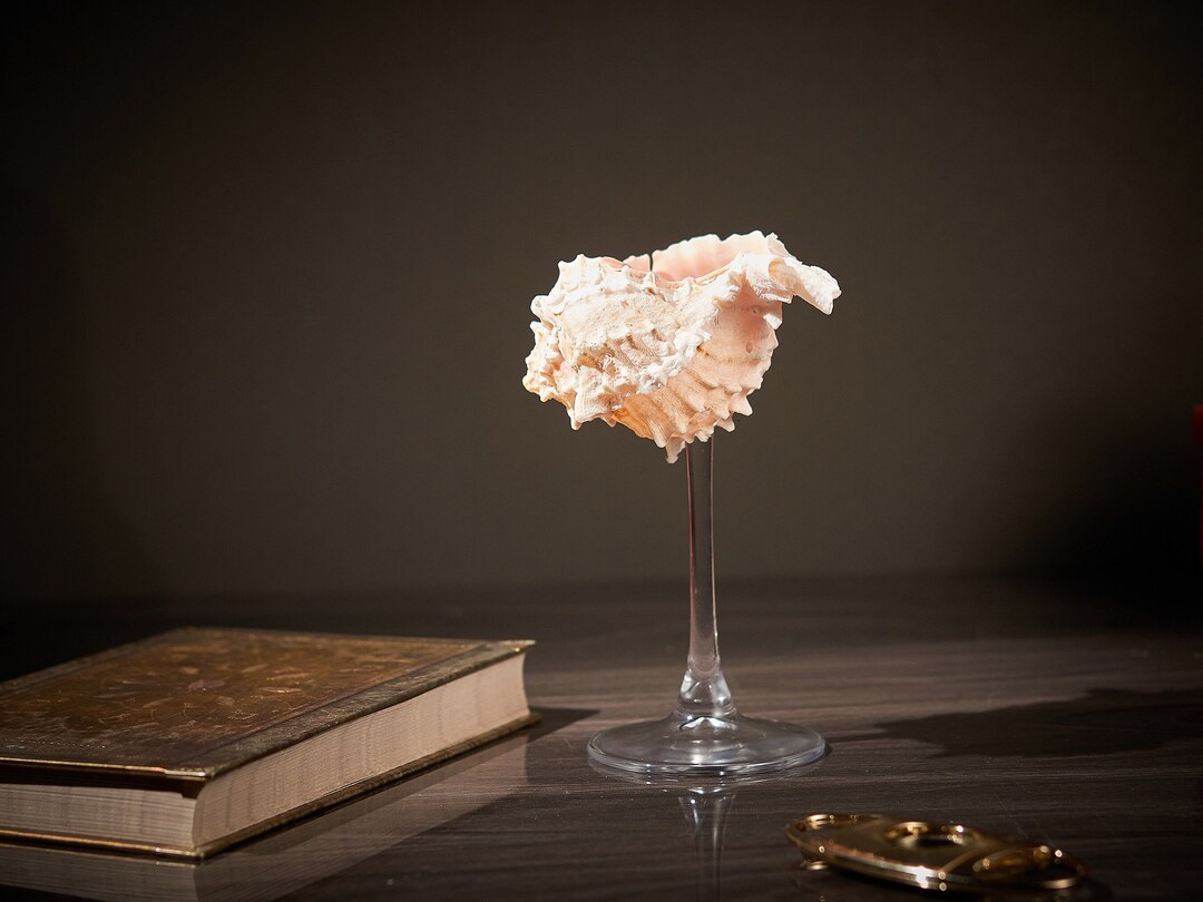 Handmade Conch Cup Shell Cup Bracket Goblet, Bar Glasses, Modern Beach ...