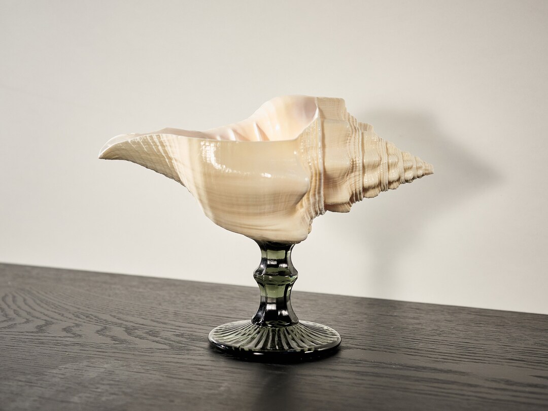 Handmade Natural Conch Shell Wine Glass,beach Wedding Wine Glass,goblet ...