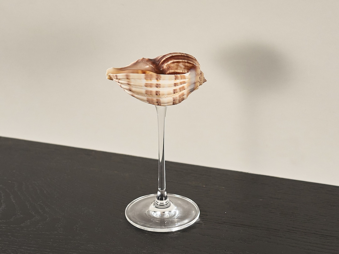 Handmade Natural Conch Shell Wine Glass,beach Wedding Wine Glasses ...