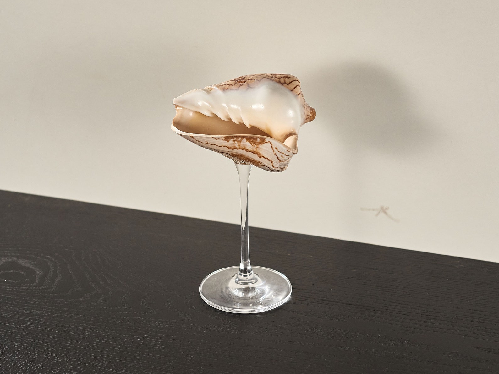 Handmade Natural Conch Shell Wine Glass,beach Wedding Wine Glasses ...