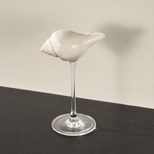 Handmade Natural Conch Shell Wine Glass,beach Wedding Wine Glasses ...
