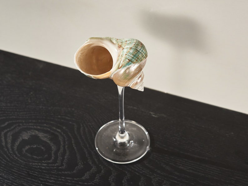 Handmade Natural Conch Shell Wine Glass,beach Wedding Wine Glasses ...