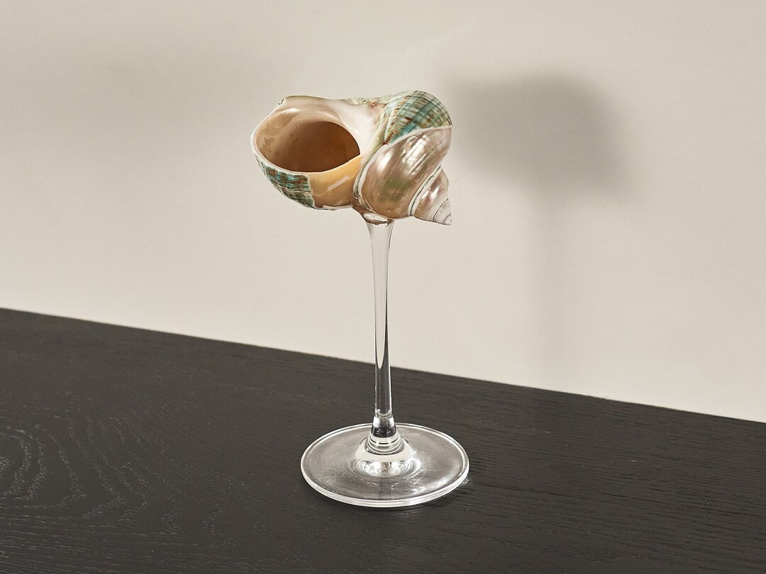 Handmade Natural Conch Shell Wine Glass,beach Wedding Wine Glasses ...