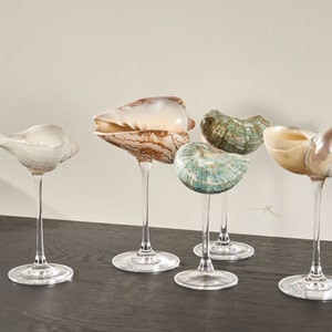 Handmade Natural Conch Shell Wine Glass,beach Wedding Wine Glasses ...
