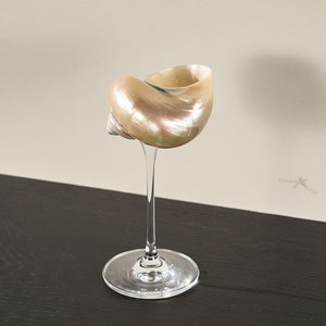 Handmade Natural Conch Shell Wine Glass,beach Wedding Wine Glasses ...
