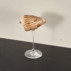 Handmade Natural Conch Shell Wine Glass,beach Wedding Wine Glasses ...