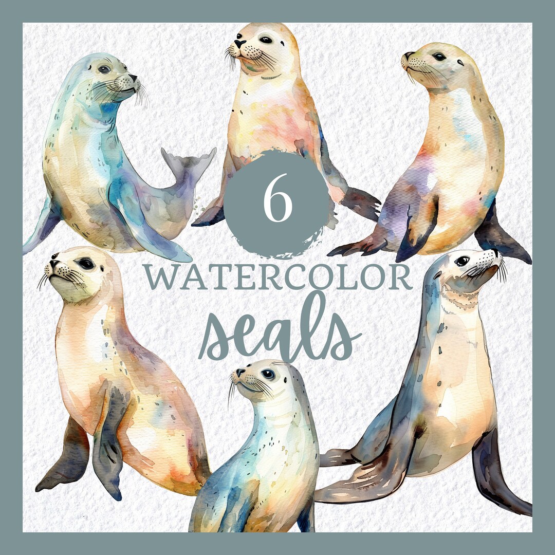 Watercolor Seal Clipart Bundle Cute Seal Clipart Bundle Sea Ocean Party ...