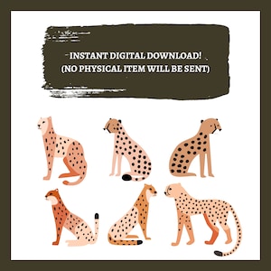 Cute Cheetah Clipart Cheetah Decoration Cheetah Themed Safari Clipart ...