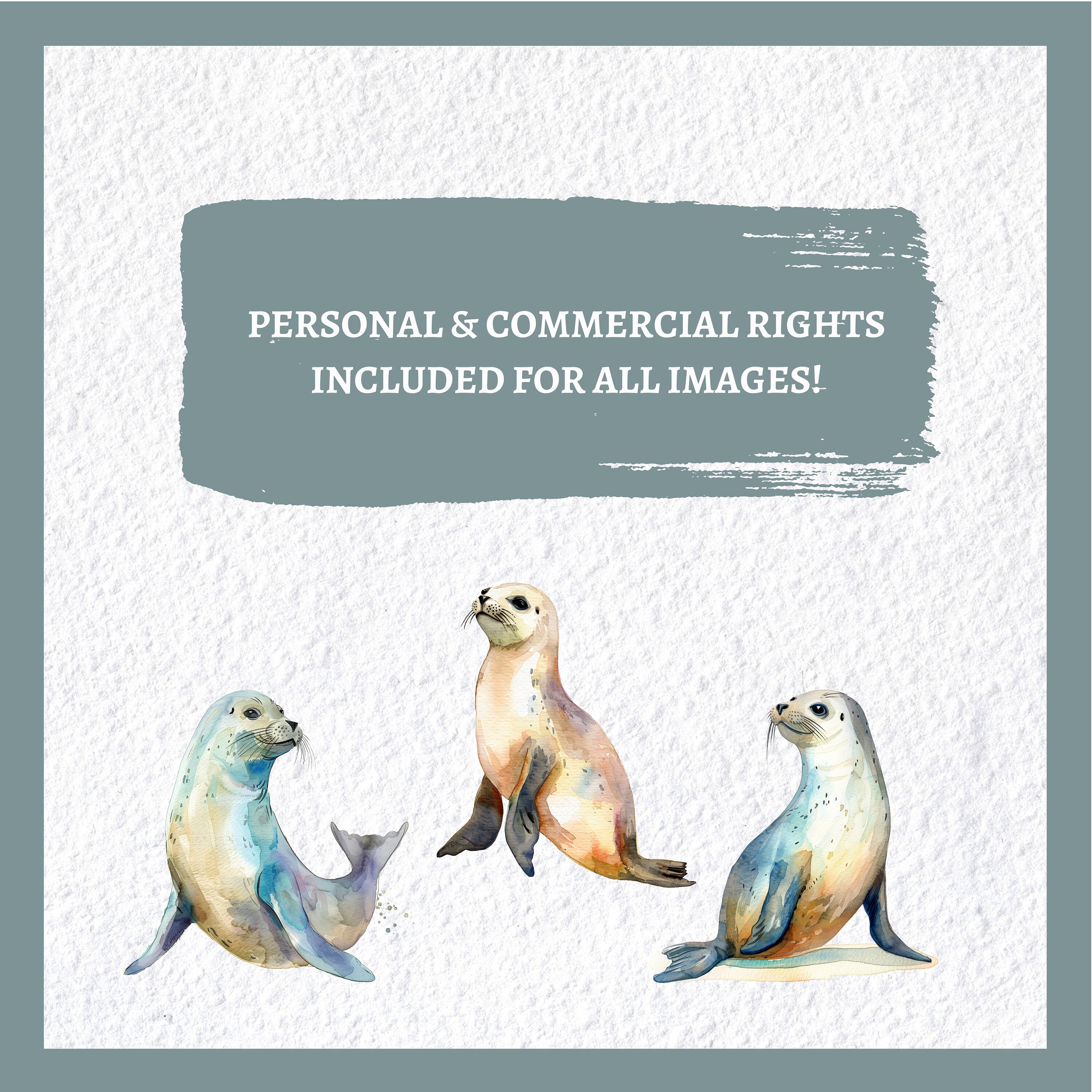 Watercolor Seal Clipart Bundle Cute Seal Clipart Bundle Sea Ocean Party ...