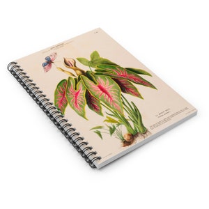Rare Plant Botanical Notebook Vintage Botanical Art Academia Drawing ...