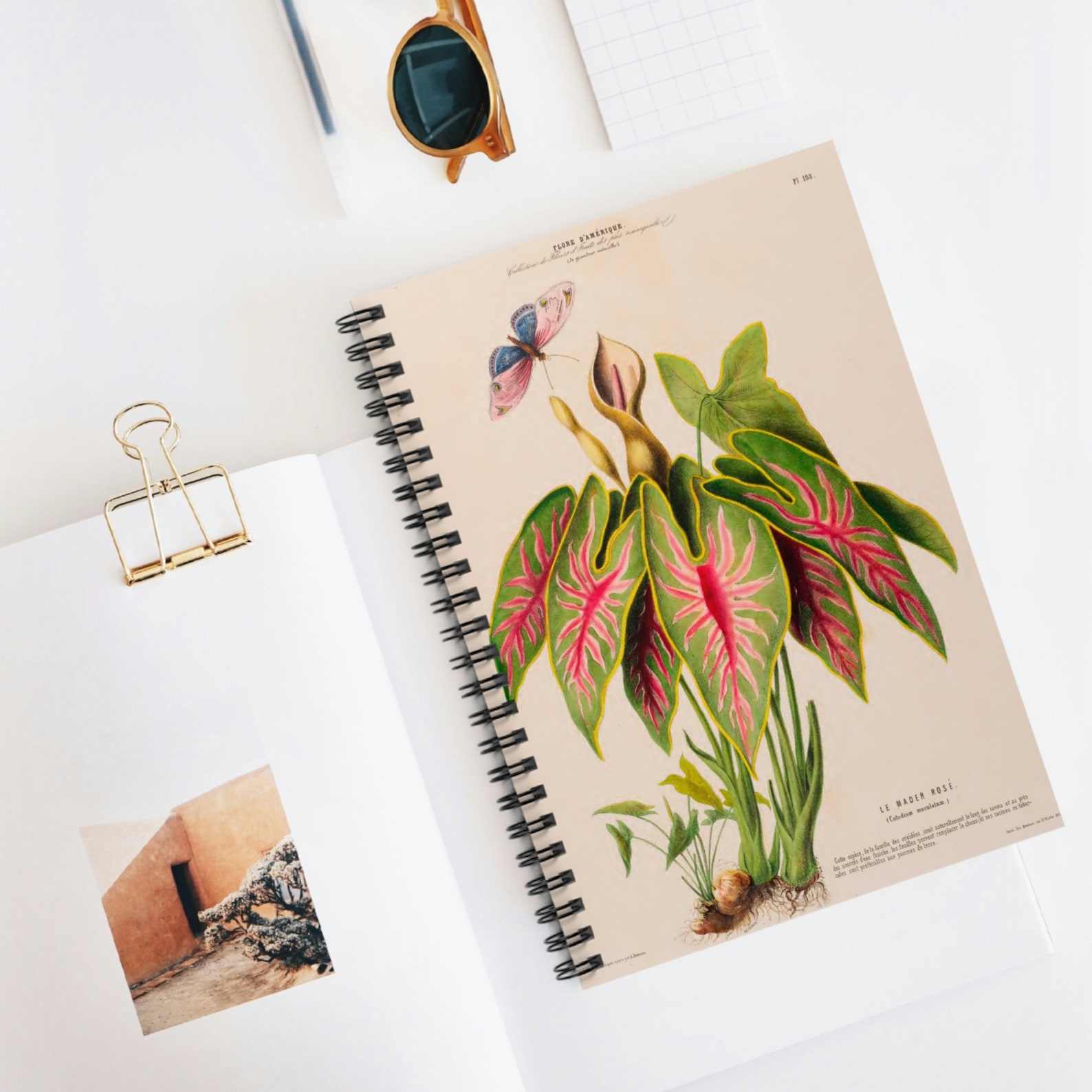 Rare Plant Botanical Notebook Vintage Botanical Art Academia Drawing ...