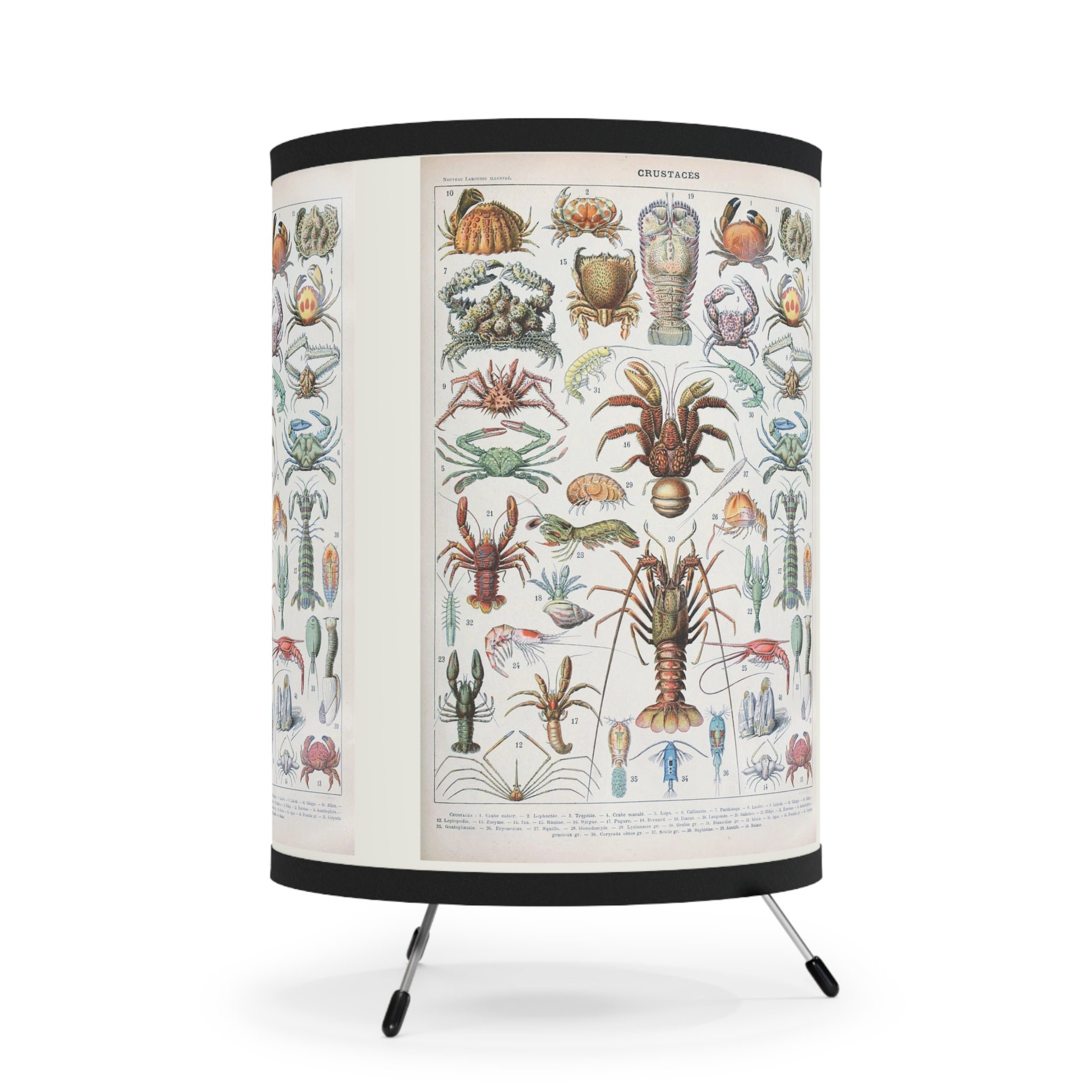 Crustaceans, Lobsters, Fish Lamp, Fish Light, Fisherman Gift, Millot ...