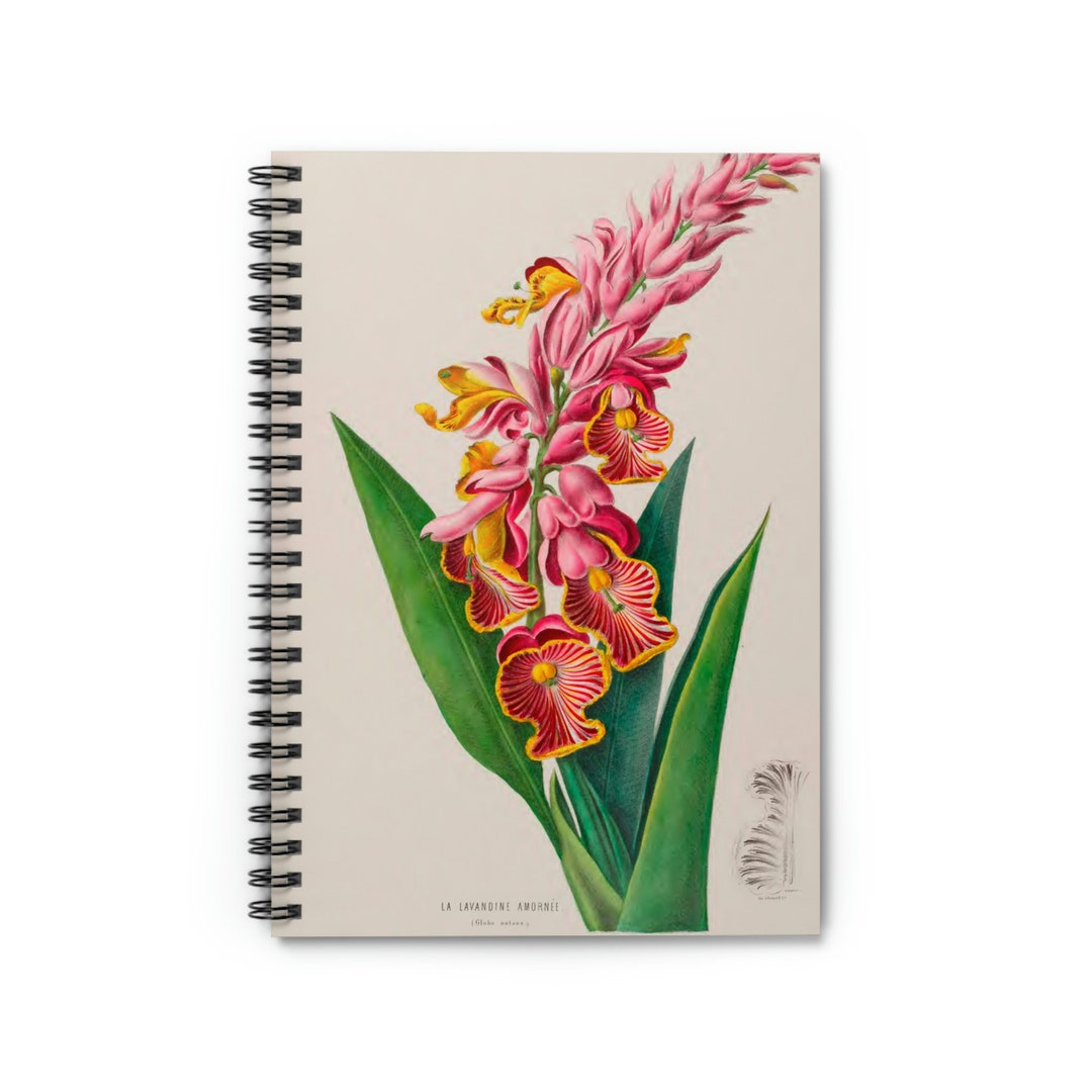 Rare Orchid Ginger Botanical Notebook Vintage Botanical Art Academia ...