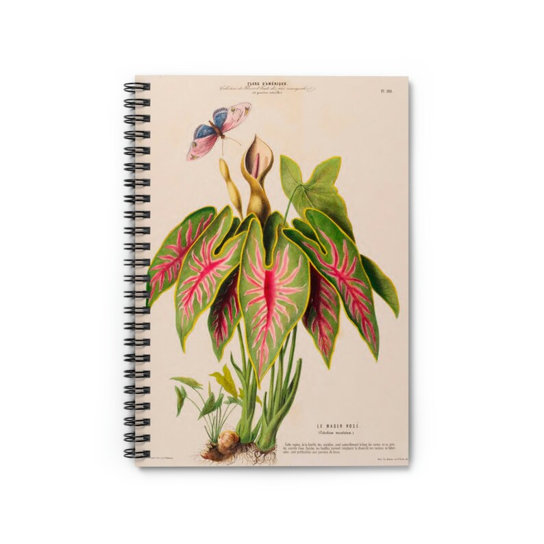 Rare Plant Botanical Notebook Vintage Botanical Art Academia Drawing ...