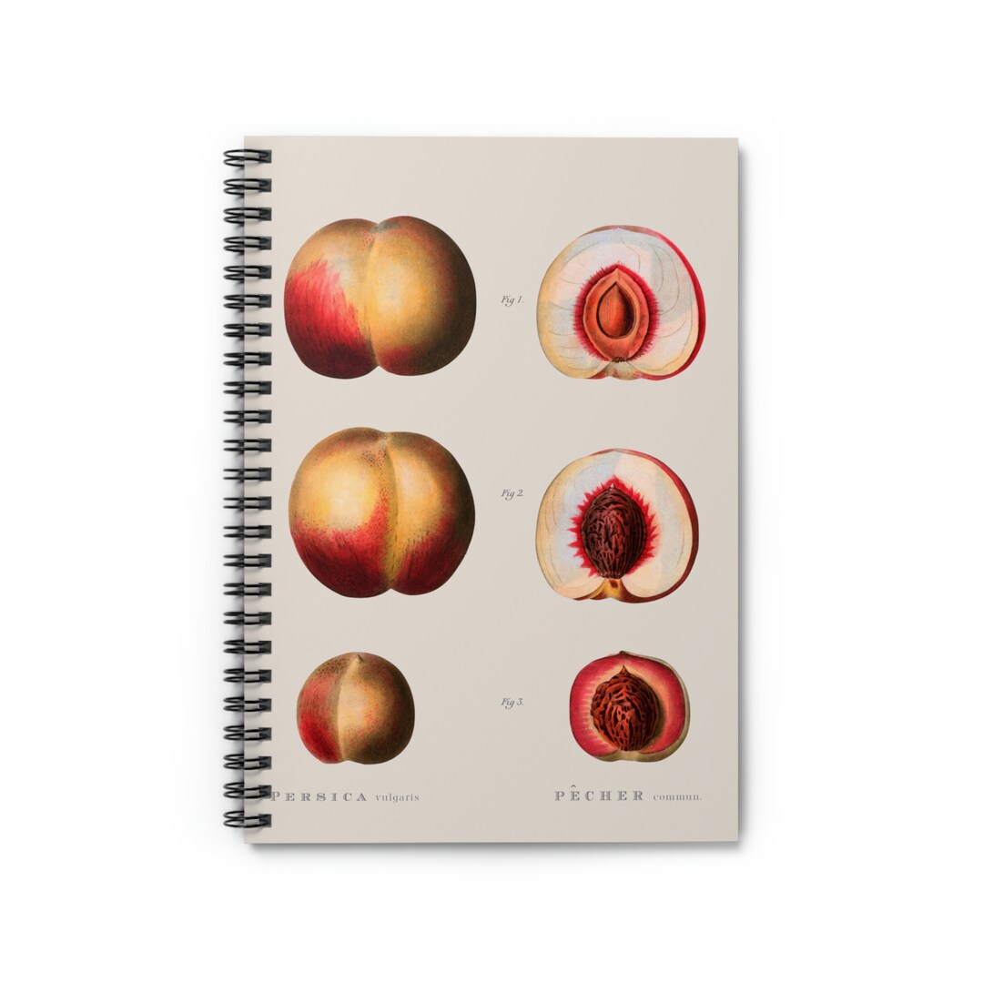 Vintage Design Peach Notebook, Flower Fruit Botanical Notebook Vintage ...