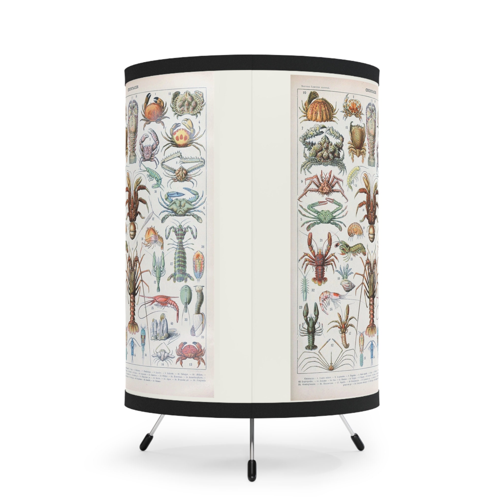 Crustaceans, Lobsters, Fish Lamp, Fish Light, Fisherman Gift, Millot ...