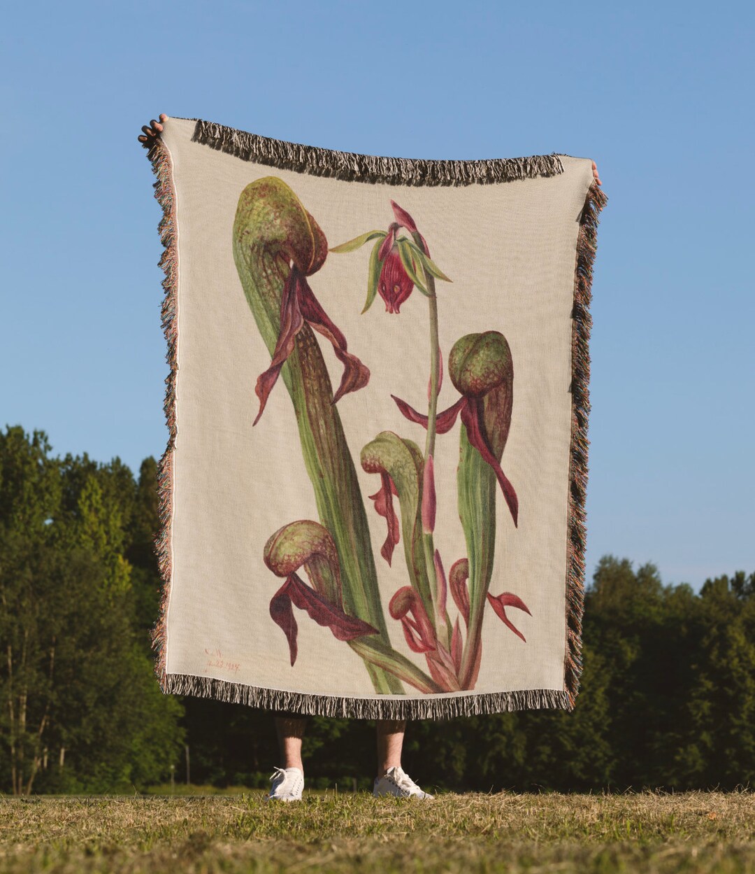 Vintage Pitcher Plant Throw Blanket, Nepenthes, Floral Blanket Cobra ...