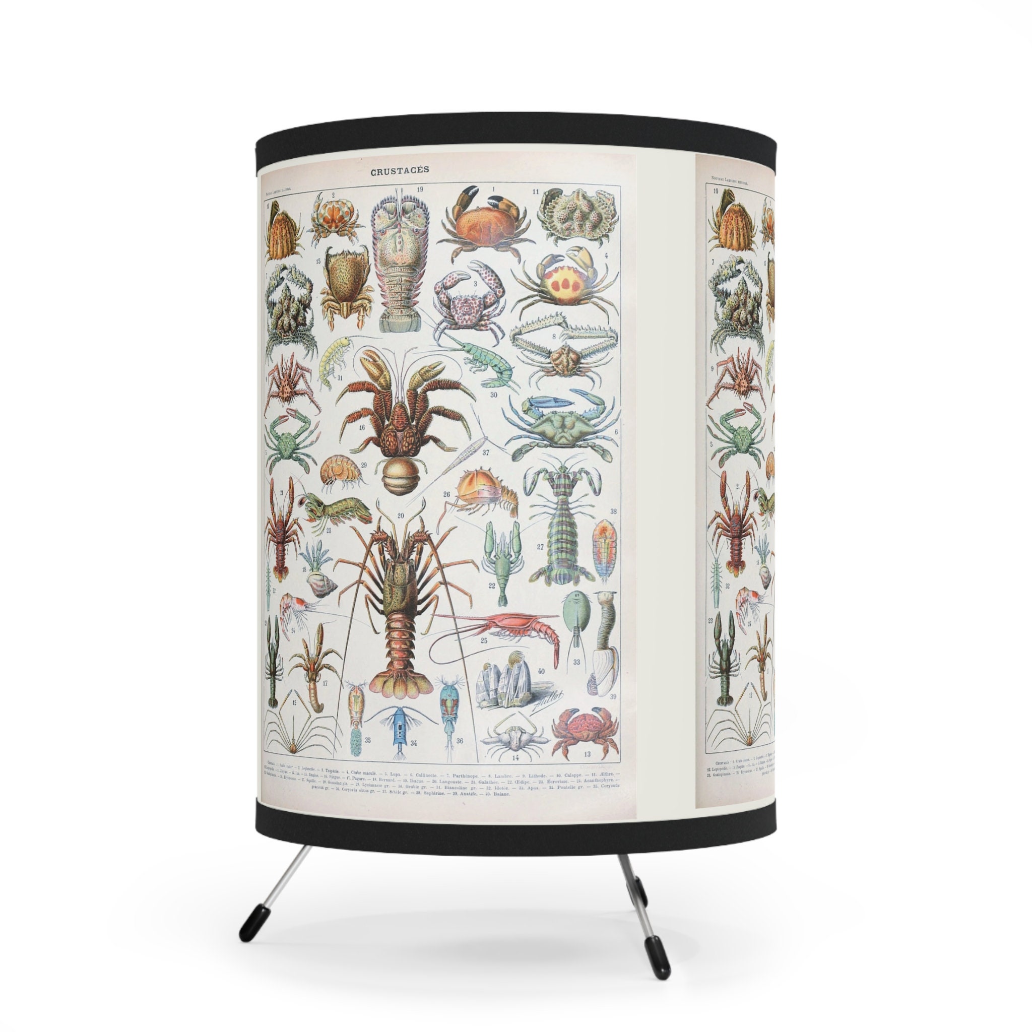 Crustaceans, Lobsters, Fish Lamp, Fish Light, Fisherman Gift, Millot ...