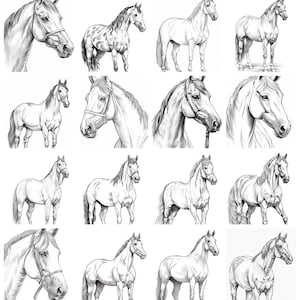 Horse Coloring Pages - Vol 2, Horse Coloring Sheet, Horse Coloring Book ...