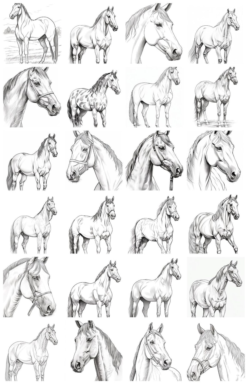 Horse Coloring Pages - Vol 2, Horse Coloring Sheet, Horse Coloring Book ...