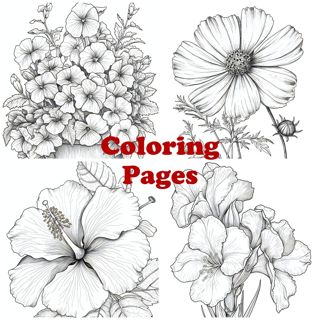 Flower Coloring Pages, Flower Coloring Sheets, Floral Coloring Pages ...