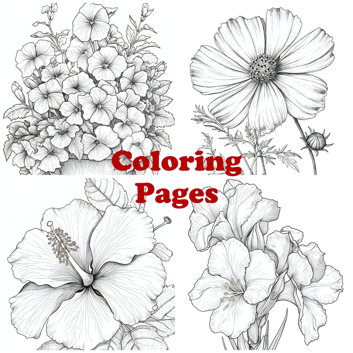Flower Coloring Pages, Flower Coloring Sheets, Floral Coloring Pages ...
