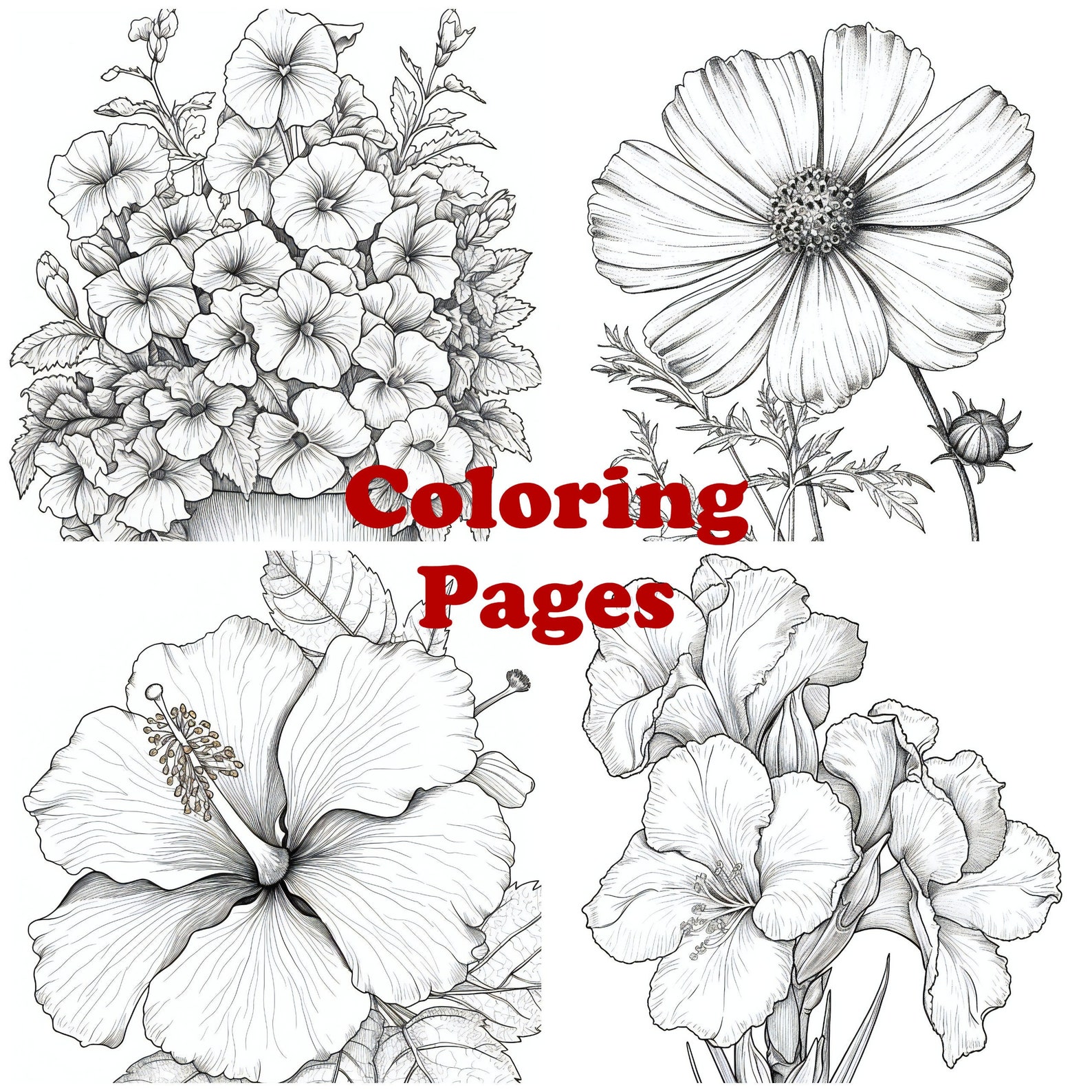 Flower Coloring Pages, Flower Coloring Sheets, Floral Coloring Pages ...