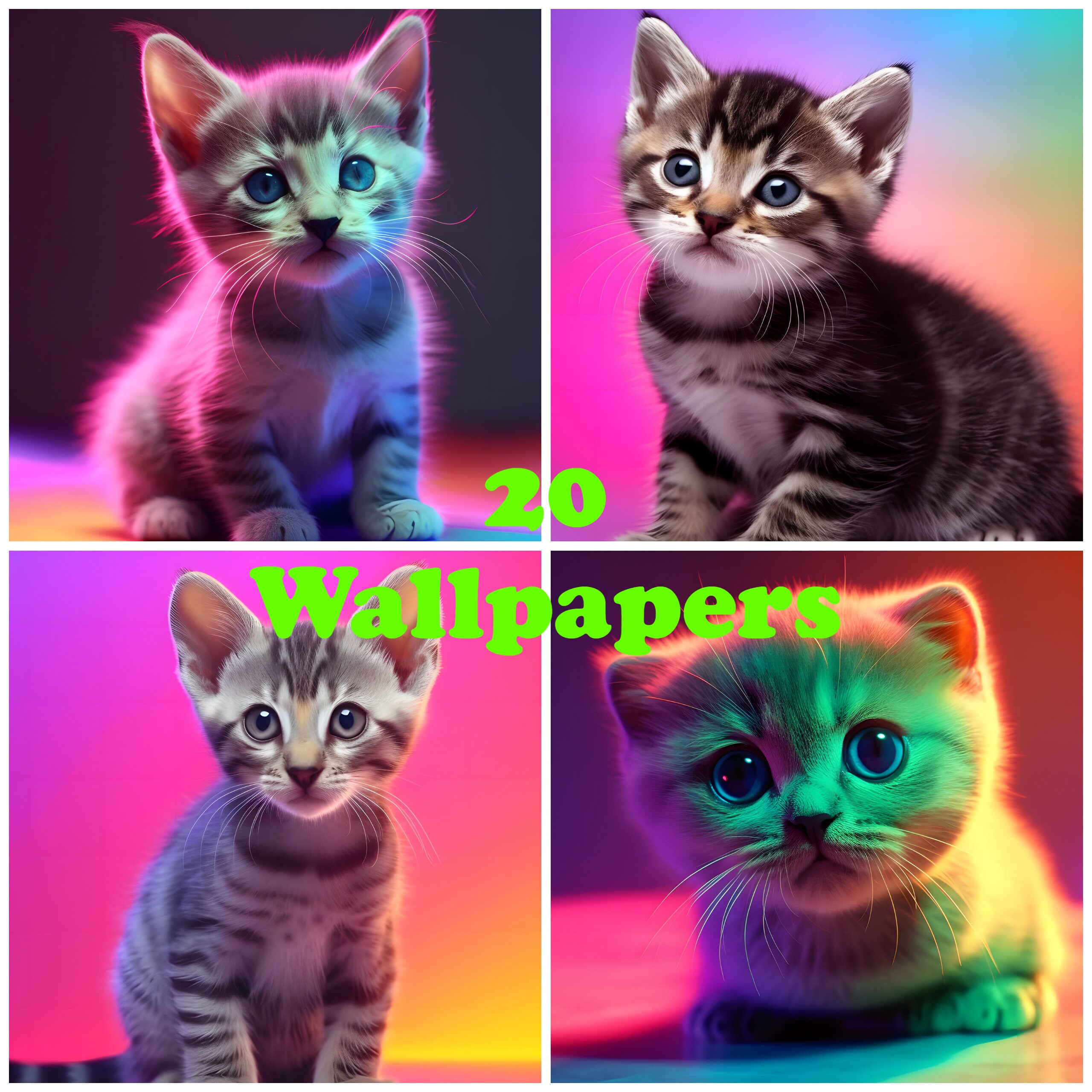Cute Colorful Kitten Backgrounds, Cute Cat Wallpapers, Pet Pictures ...