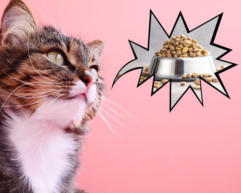 Speech Bubble Canva Frames Bundle, Dream Bubble Canva Template, Cartoon ...