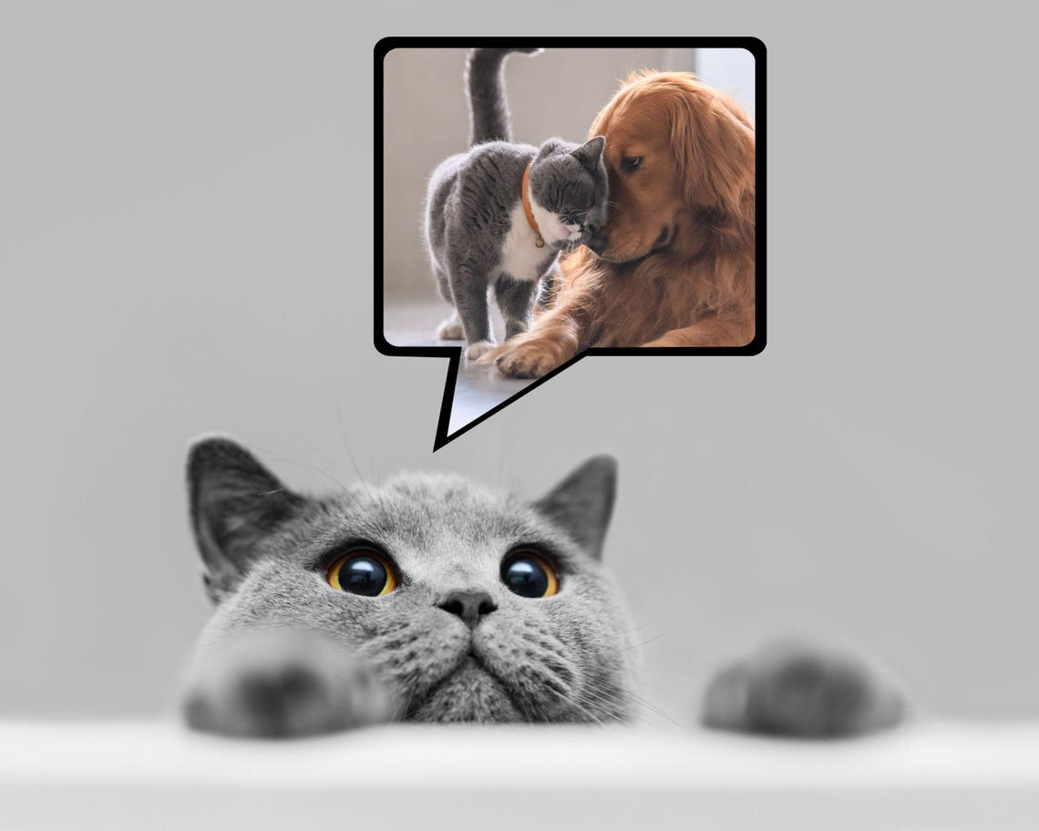 Speech Bubble Canva Frames Bundle, Dream Bubble Canva Template, Cartoon ...