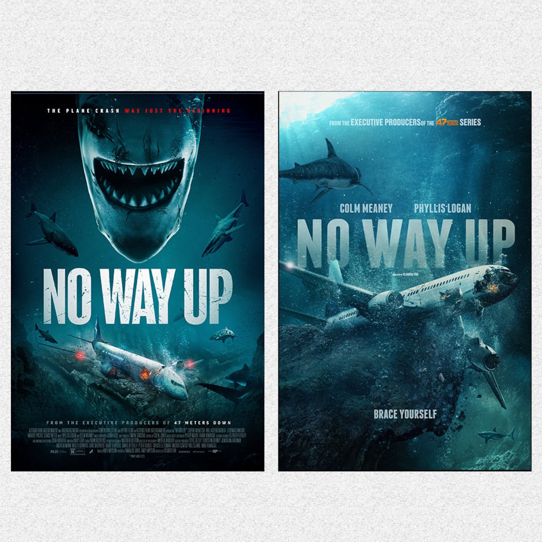 No Way up 2024 Movie Poster Movie Art Poster Wall Decor Room Decor ...