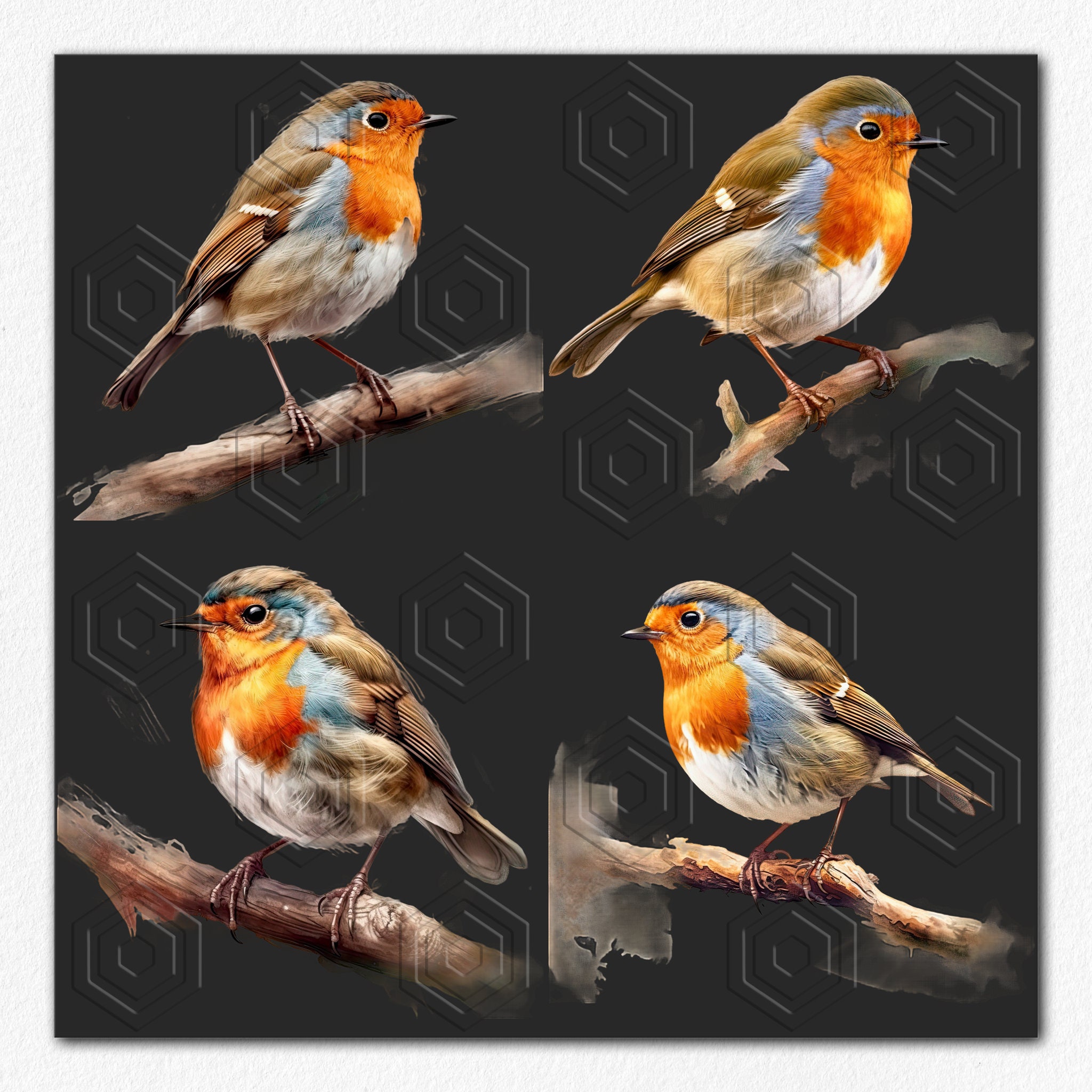 16 PNG & JPG European Robin Watercolor Clip Art: Perched on - Etsy